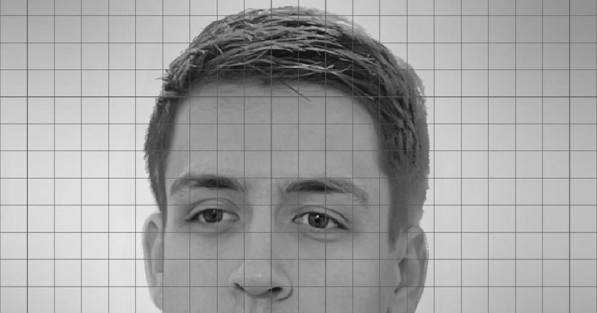 Swarm Intelligence - An AI Epiphany of the Ant Colony